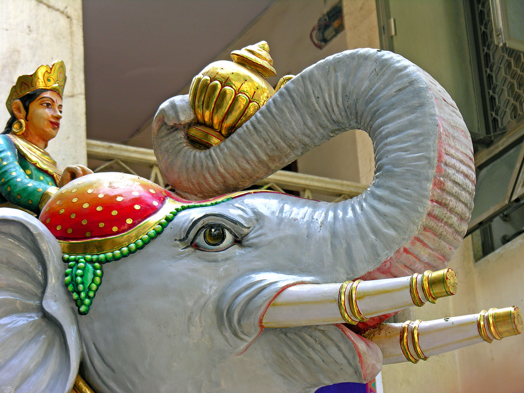 Indian Perfumes You Should Try Now