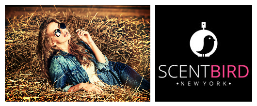 fall woody - Scentbird Blog