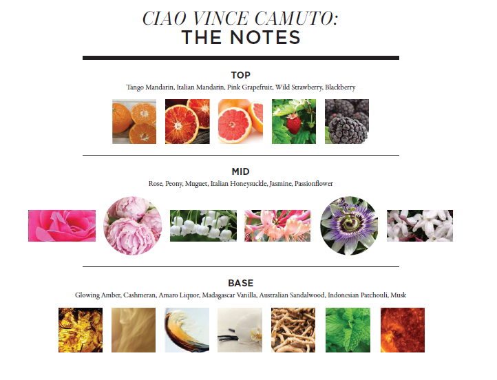 Introducing: Ciao and Terra, New Fragrances by Vince Camuto - Scentbird ...