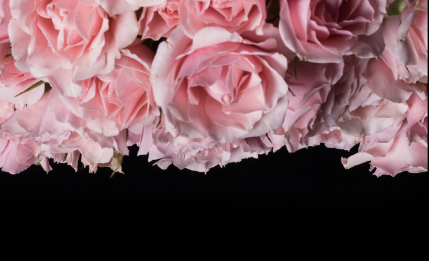 Blog about perfumes and colognes by Scentbird