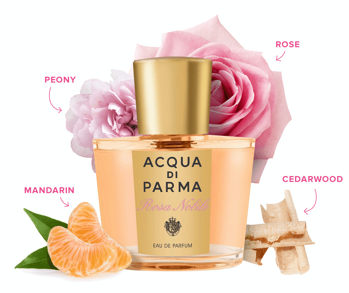 December Perfume of the Month: Acqua di Parma Rosa Nobile - Scentbird Blog