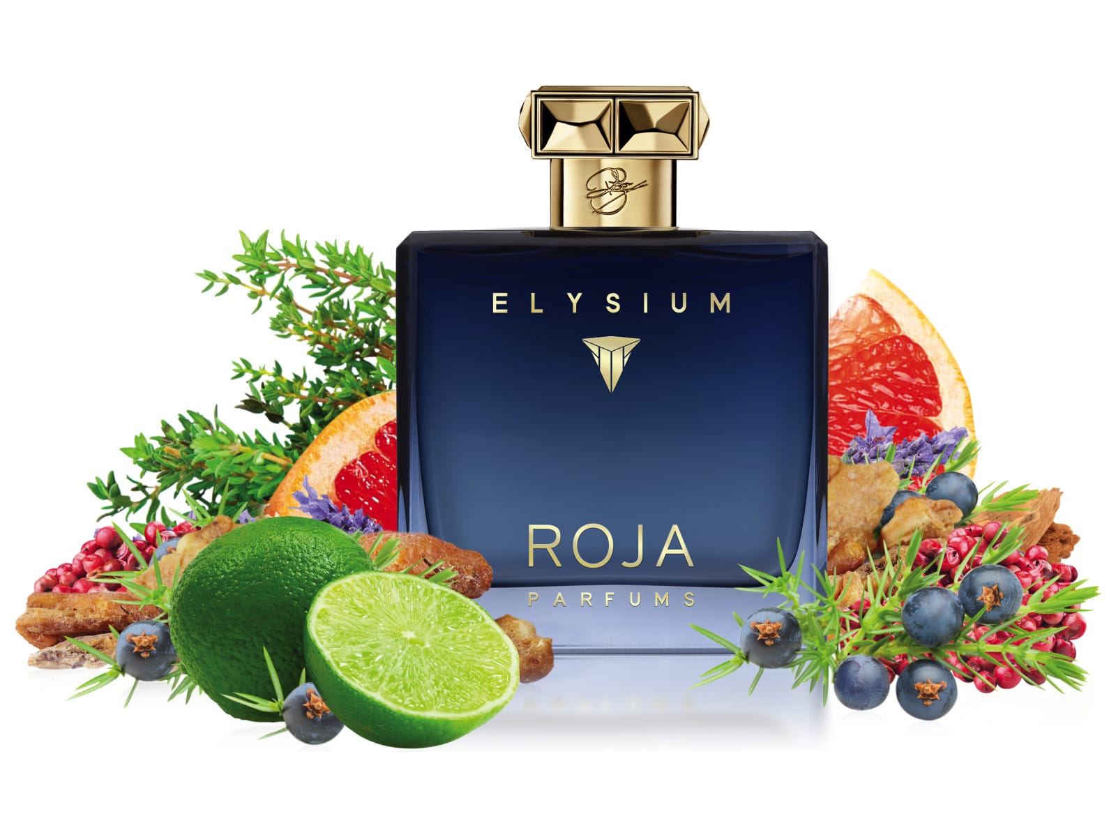 Introducing Your New Favorite Cologne Line, Roja Parfums - Scentbird Blog