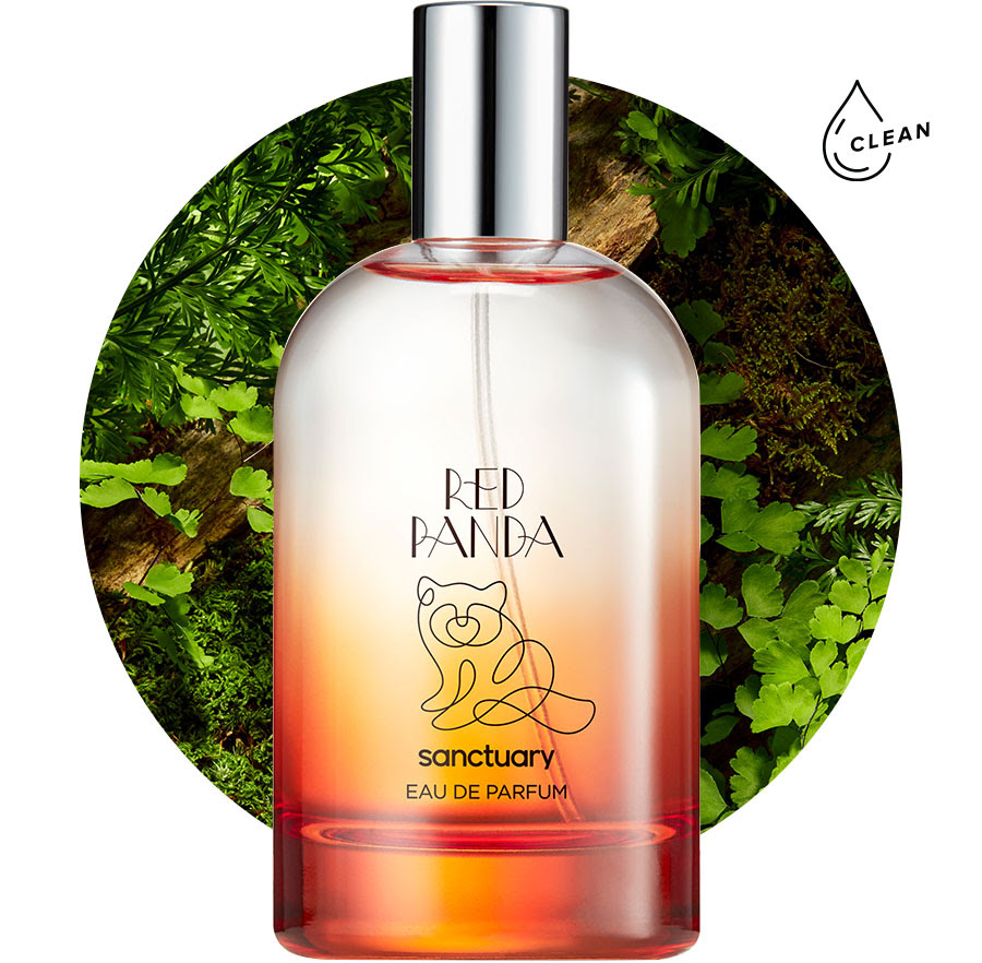 6 Clean, Green Scents for World Rainforest Day - Scentbird Blog