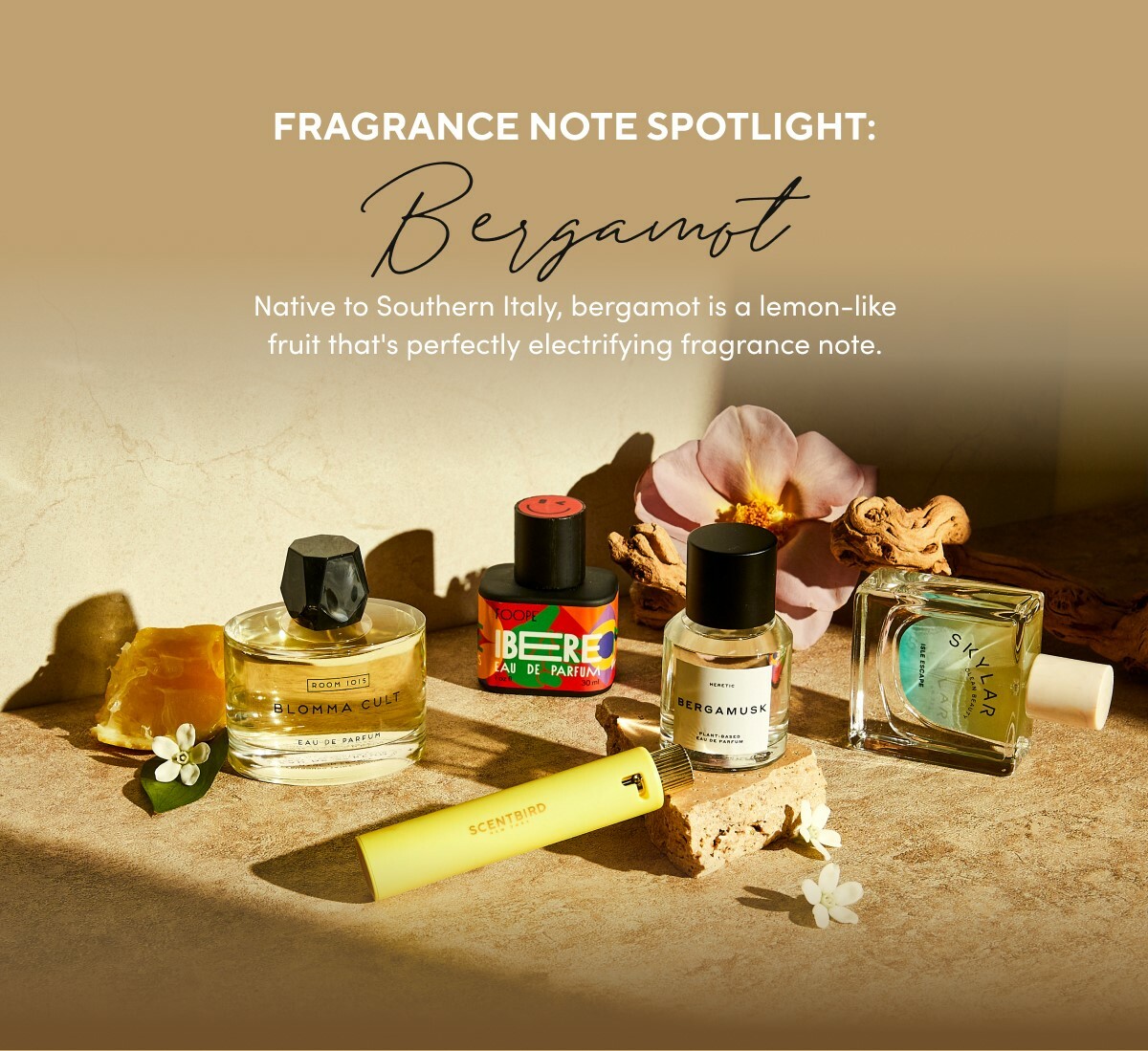 Fragrance Note Spotlight: Bergamot