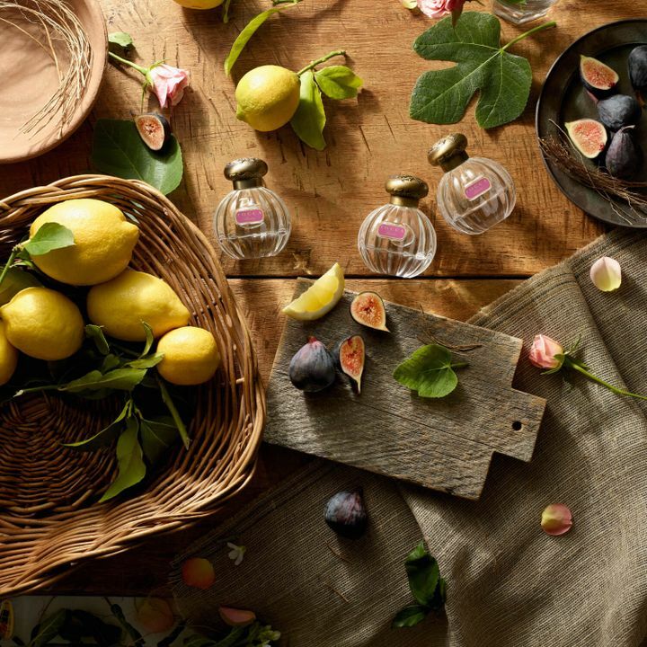 SPONGELLÉ Florica Mystic Rose: October's Featured Fragrance