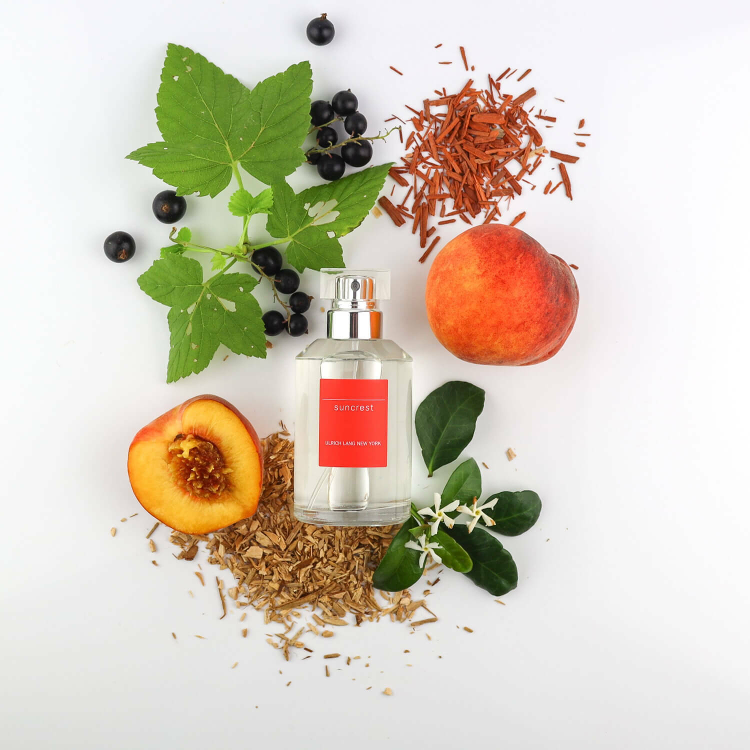 Sanctuary Malayan Tiger: 2023 Perfume of the Month