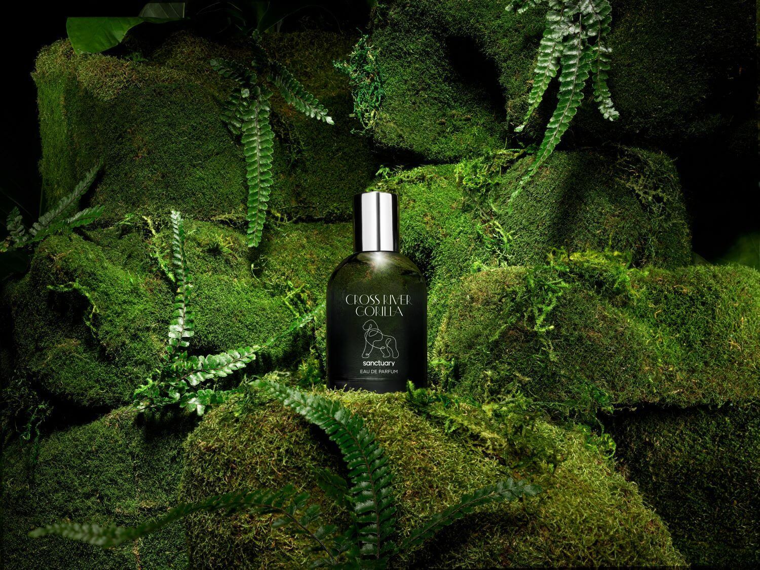 October Cologne of the Month: SANCTUARY Cross River Gorilla