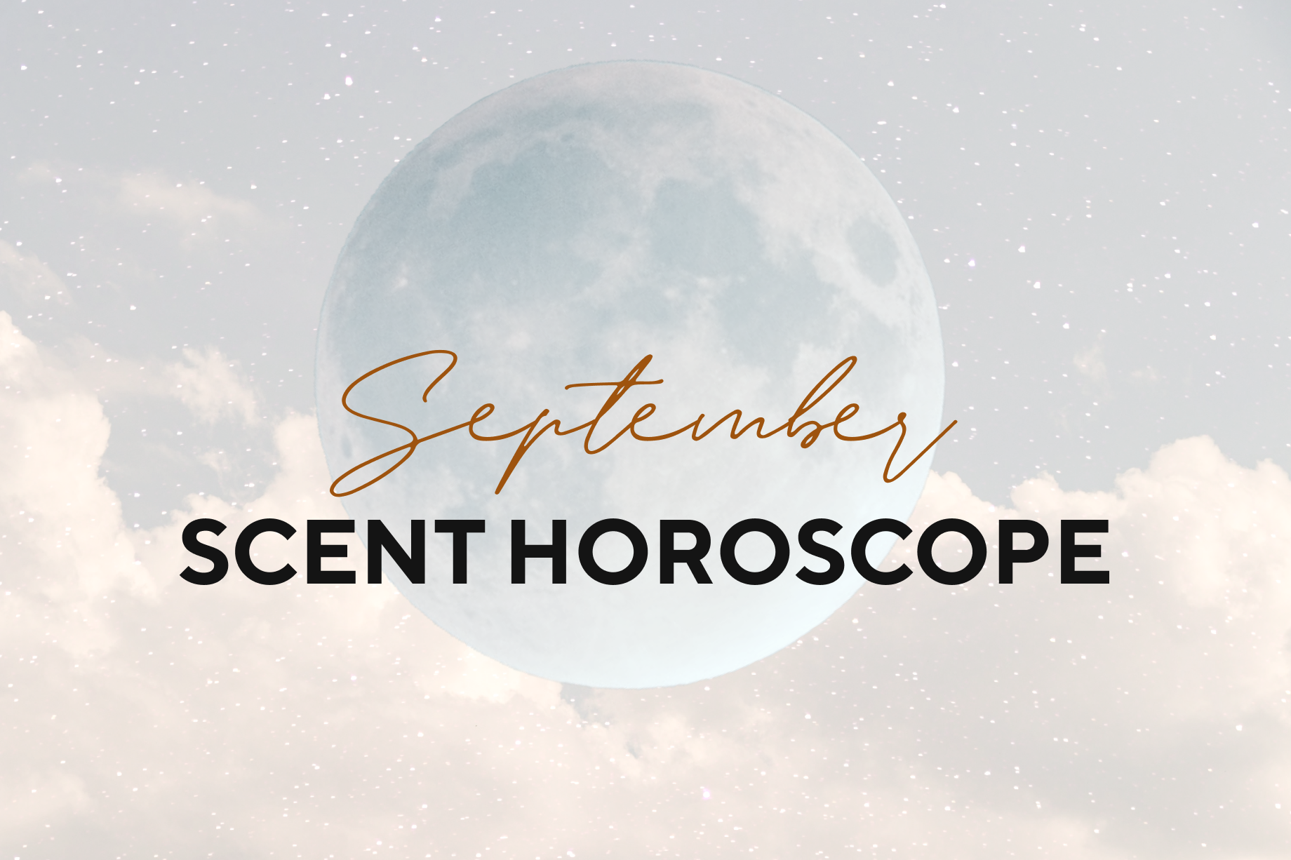 Scentbird Perfume & Cologne Blog