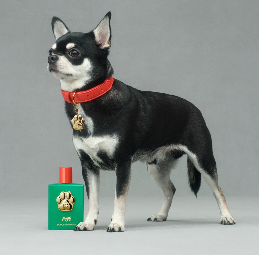 The top 8 best Versace perfumes for women of all time