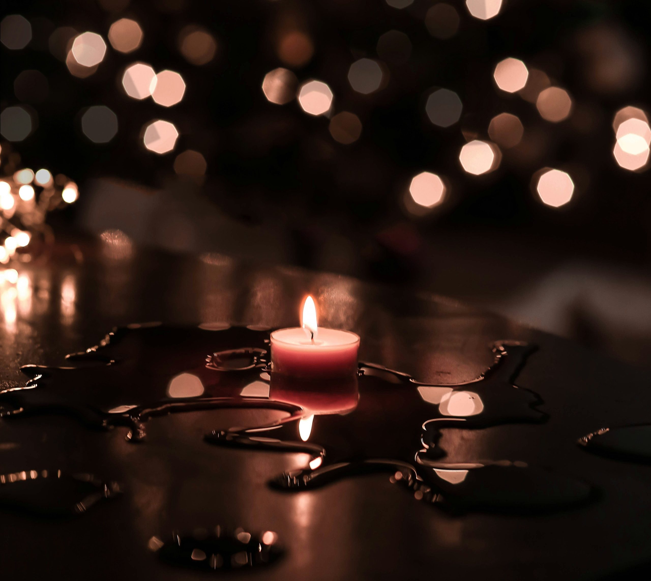 Tonka Bean: A Perfume & Cologne Fragrance Note to Know