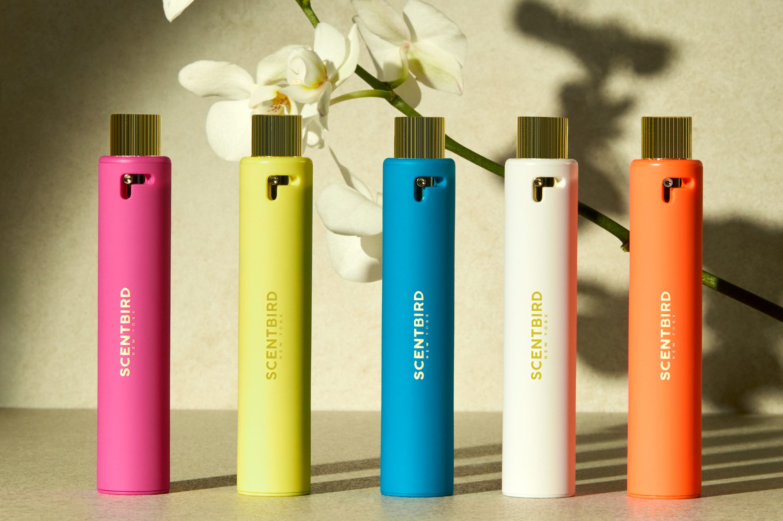 The 4 Best Office Colognes for Professionals