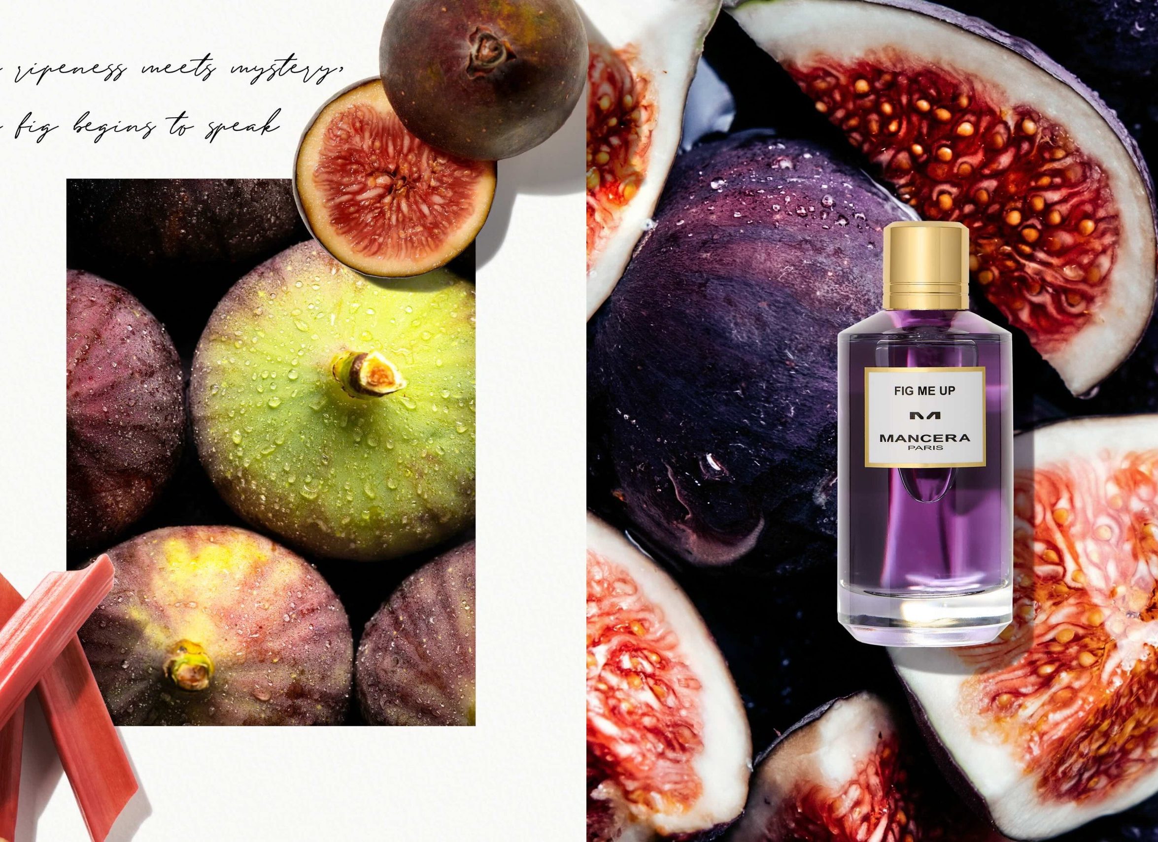 The Fig Perfume Paradox: Six Ways to Wear The Elusive Fruit