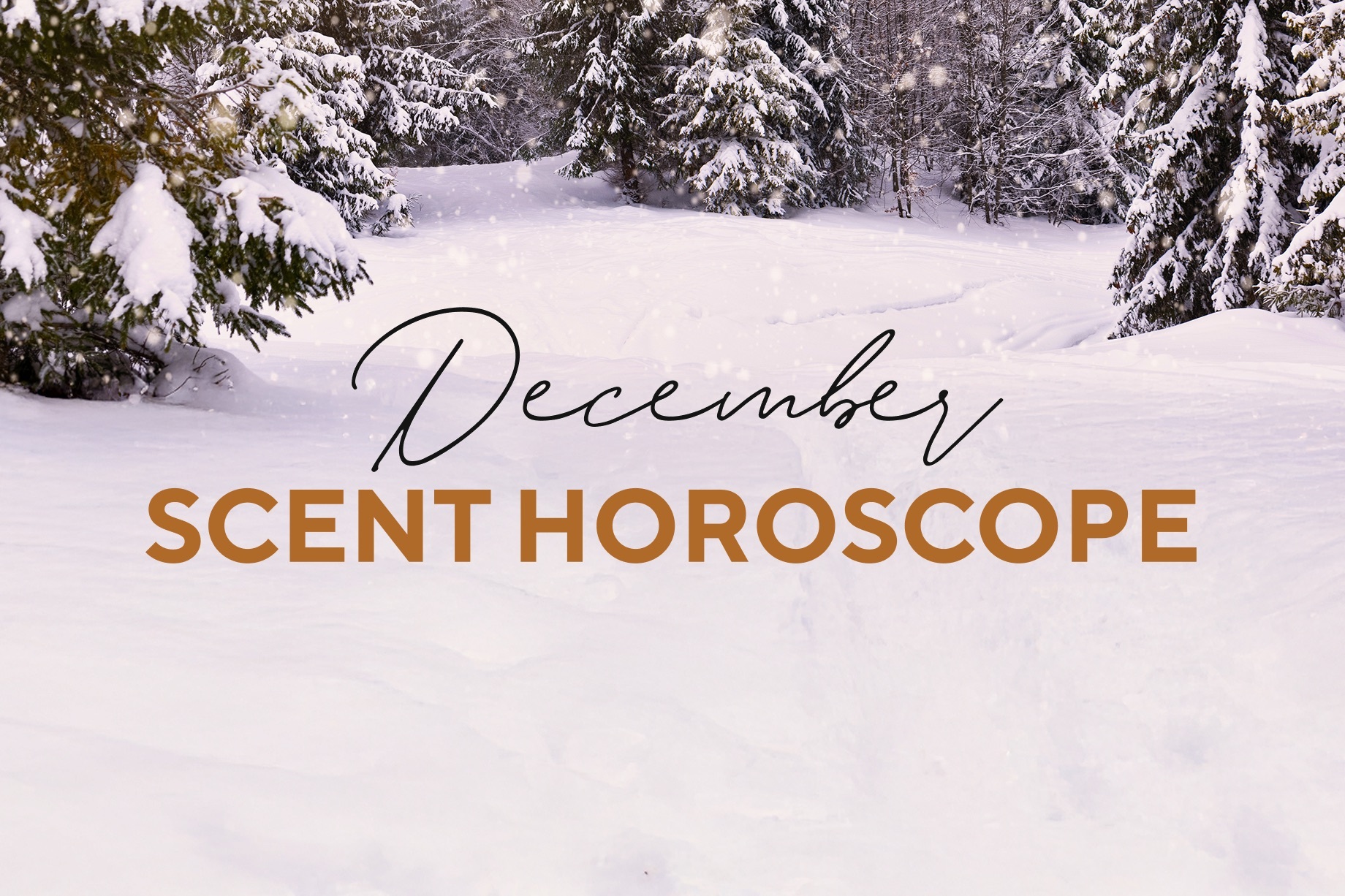 Fragrance Tips, Perfume Guides & Scent Trends | Scentbird Blog