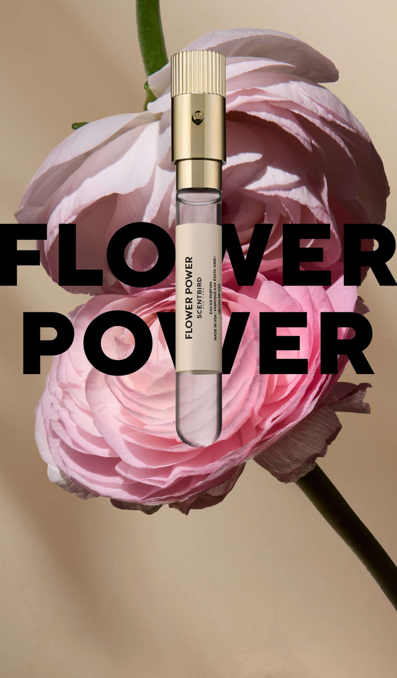 Learn How to Fragrance Layer with Scentbird Fine Fragrance Editors | NEW
